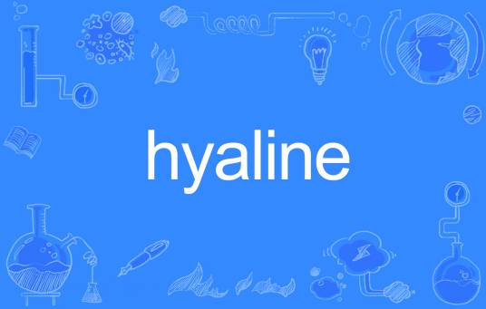 hyaline_百度百科