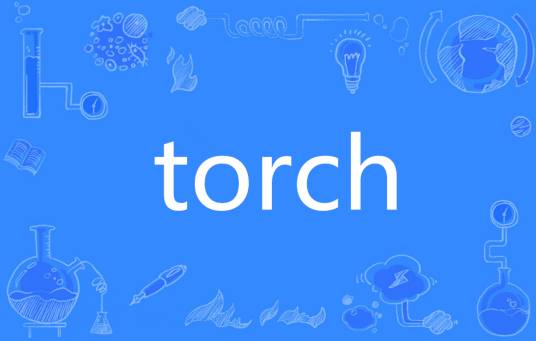 TORCH（英语单词）_百度百科