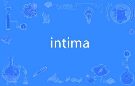 intima（英语单词）_百度百科