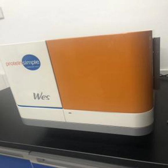 全自动WB定量分析仪_百度百科