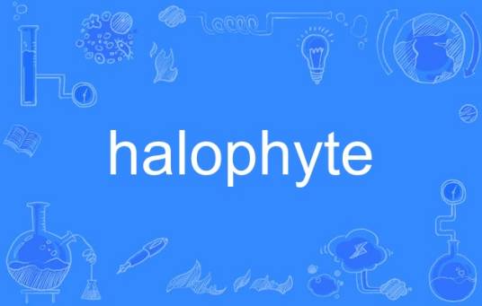 halophyte_百度百科