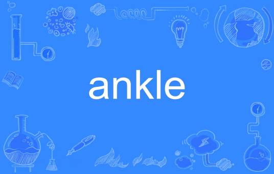 ankle_百度百科
