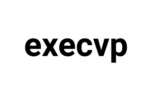 execvp_百度百科