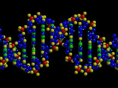 DNA计算机_百度百科
