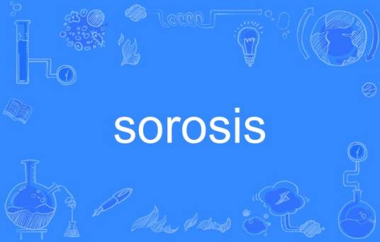sorosis_百度百科
