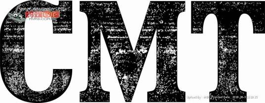 Cmt（CMT ASSET MANAGEMENT）_百度百科