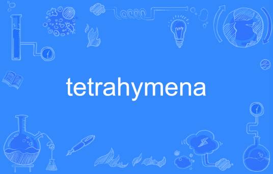tetrahymena_百度百科