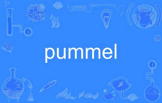 pummel_百度百科