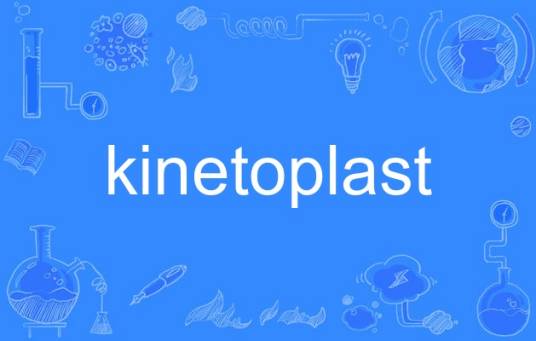 kinetoplast_百度百科