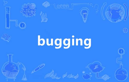 Bugging（英语单词）_百度百科