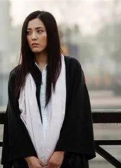 白晓燕（家庭情感剧《人到四十》中的角色）_百度百科