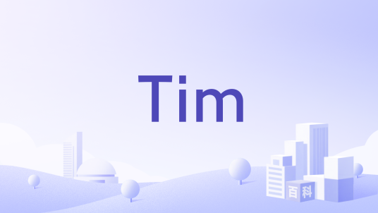 Tim（TIM在线协同办公平台）_百度百科