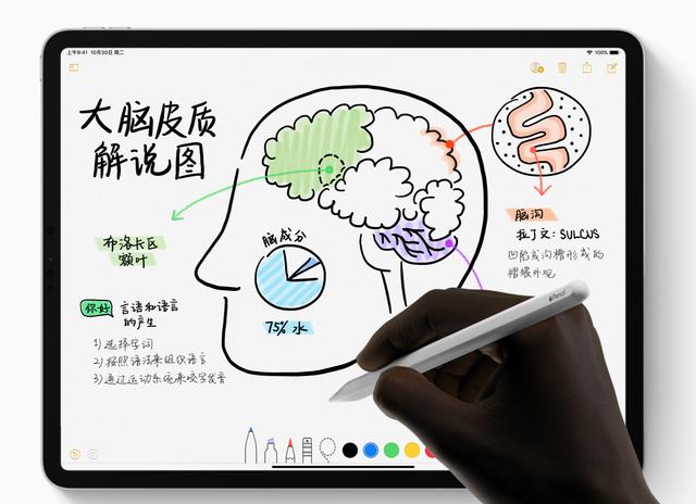 2019款iPad系列外观配置曝光：超窄边框+后置双摄，售价有惊喜_百科TA说