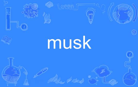 Musk_百度百科