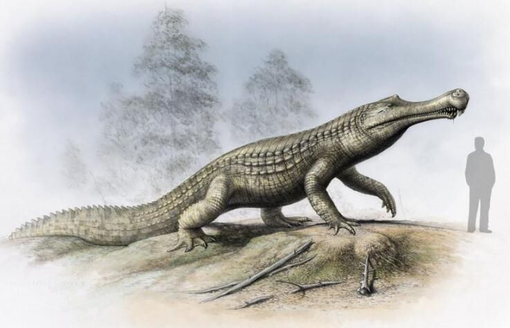 以恐龙为食？中生代第一大巨鳄帝鳄，可能只是一个“渔夫”！_百科TA说