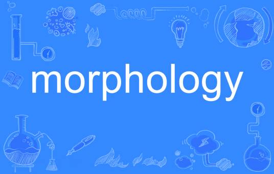 morphology_百度百科