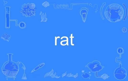 rat（英语单词）_百度百科