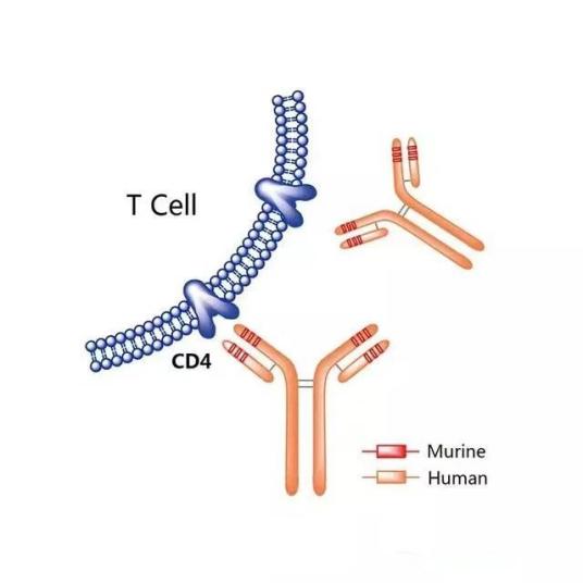 Trogarzo 百度百科