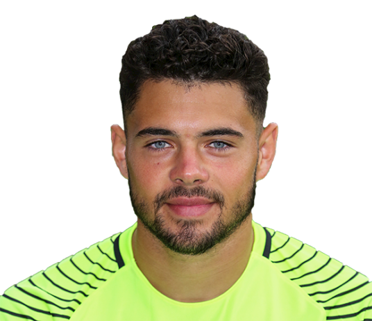 Dion Henry_百度百科