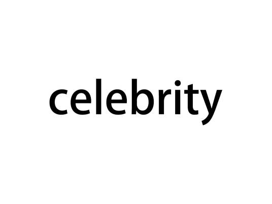 celebrity（英文单词）_百度百科