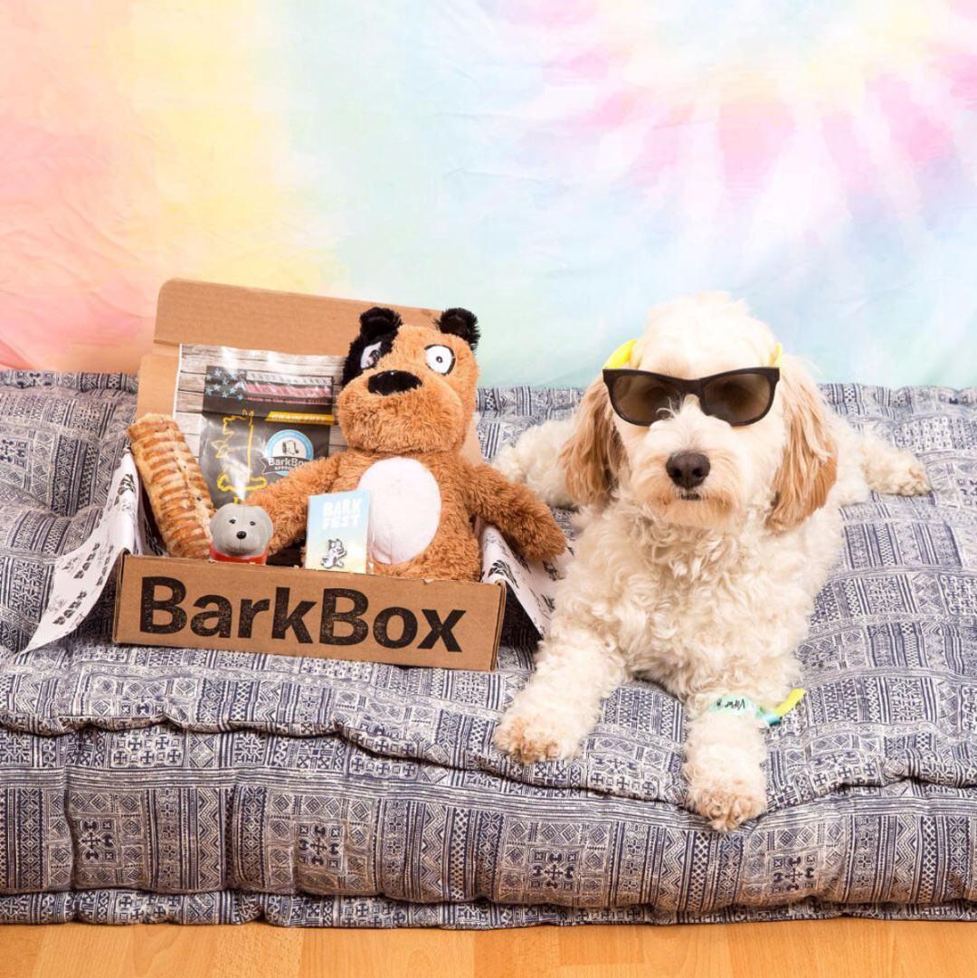 单季爆赚超1亿美元，BarkBox的网红套路有多深？宠物经济这样玩_百科TA说