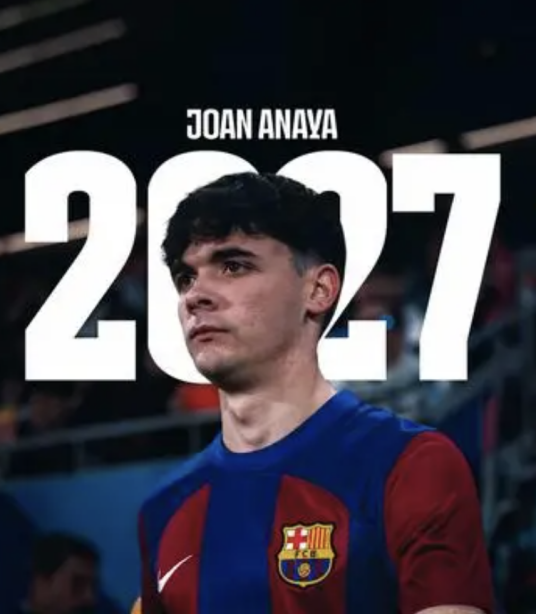 霍安·阿纳亚_百度百科