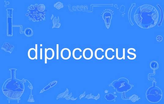 diplococcus_百度百科