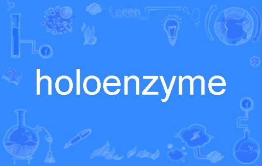 holoenzyme_百度百科