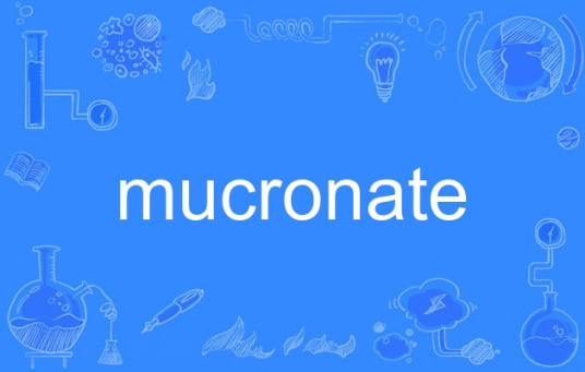 mucronate_百度百科