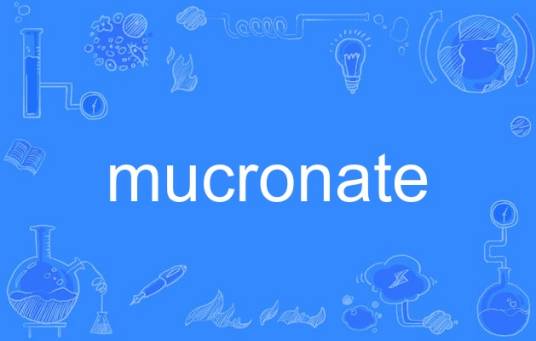 mucronate_百度百科