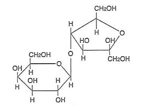 杜密克_百度百科