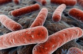 粪球菌属_百度百科