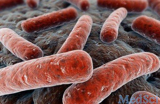 粪球菌属_百度百科