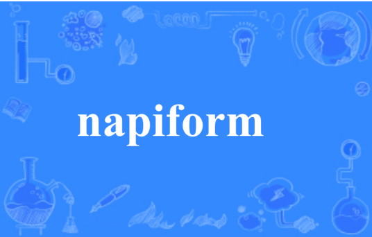 napiform_百度百科