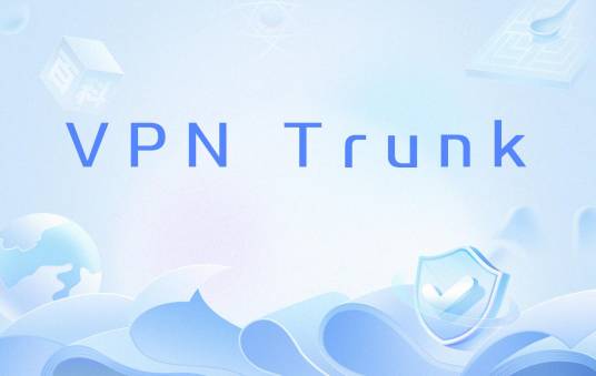 VPN Trunk_百度百科