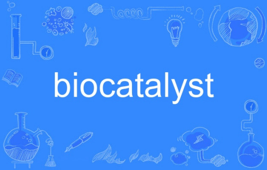 biocatalyst_百度百科