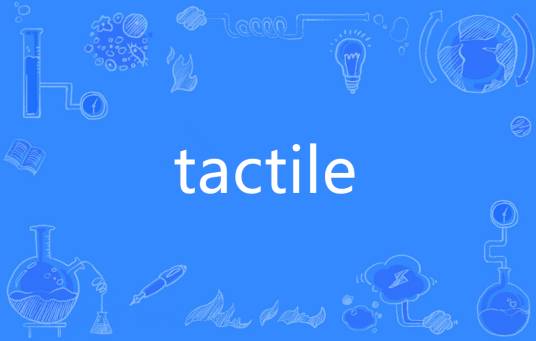 Tactile（英语单词）_百度百科