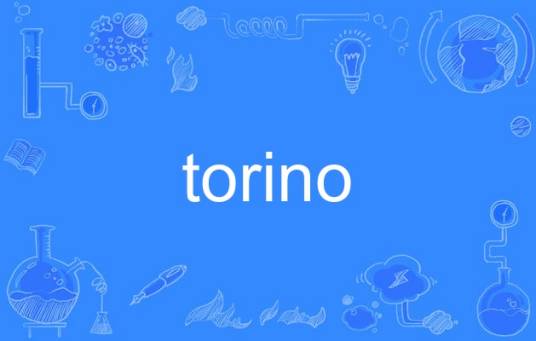 Torino_百度百科