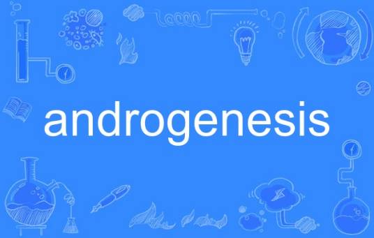 androgenesis_百度百科