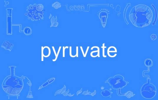 pyruvate_百度百科
