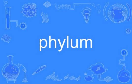 phylum_百度百科