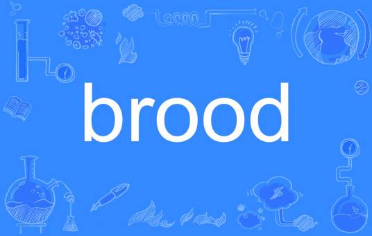 Brood（英语单词）_百度百科