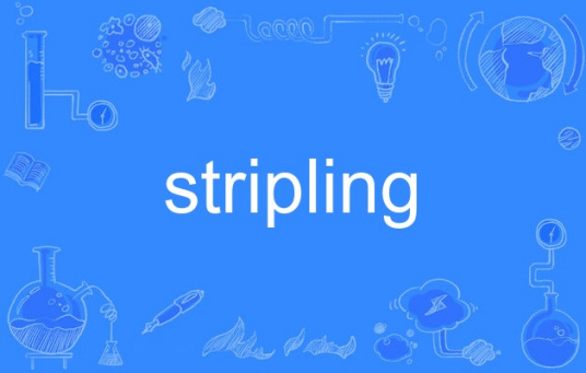 stripling_百度百科