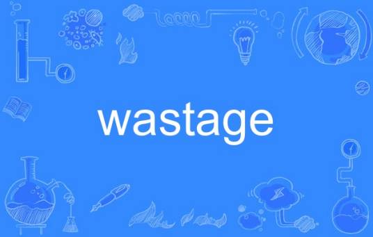 wastage_百度百科