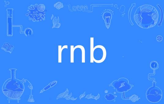 rnb（网络流行语）_百度百科