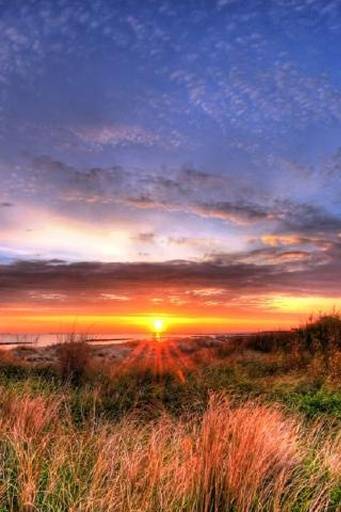 Beautiful Sunshine Wallpaper 3_百度百科