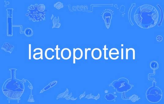 lactoprotein_百度百科