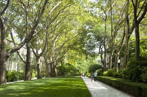 洛克菲勒大学_百度百科