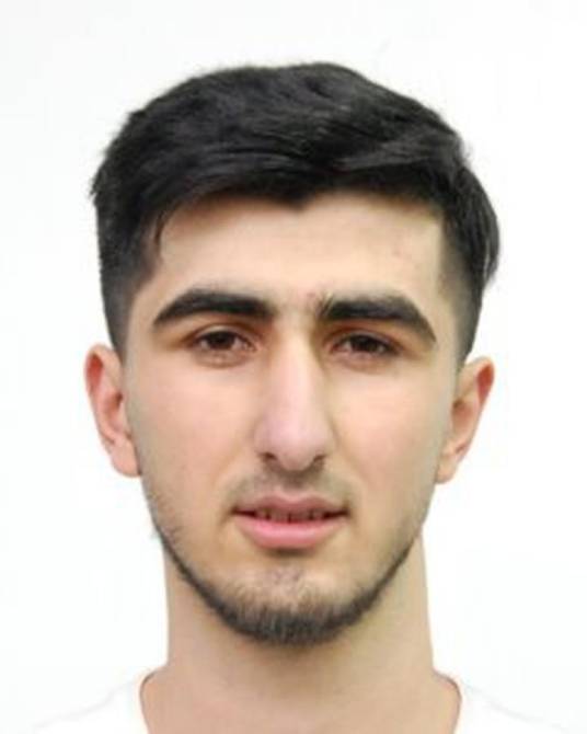 赛义德·纳萨德_百度百科