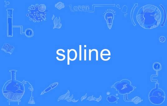 spline（英语单词）_百度百科